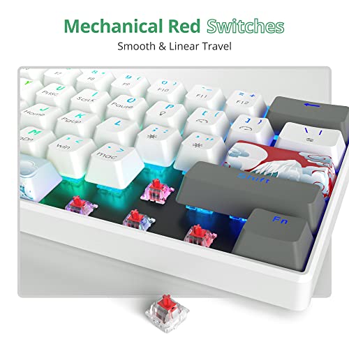 Owpkeenthy RGB Mechanical Keyboard 60 Percent Red Switches, Ultra-Compact Mini Wired Gaming Keybaord with Backlit PBT Dye-Sub Keycaps for Win/Mac/PC (White/Red Switch)