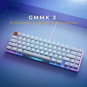 Glorious Gaming GMMK 2-65 Percent Keyboard - White Custom Layout - Compact Low-Profile - Hotswap w/Cherry Mx Style Switches - Incl. Double Shot Keycaps & Linear Switches