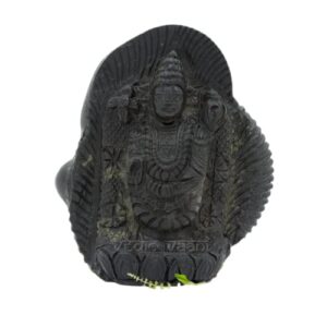 vedic vaani tirupati balaji in natural shaligram stone from gandaki river nepal (1 pcs)