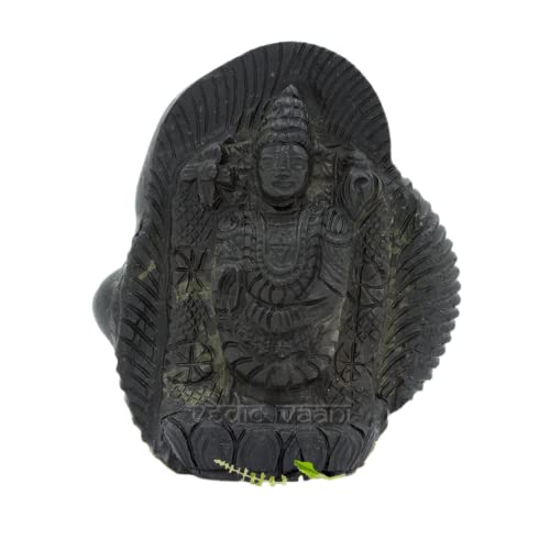 Vedic Vaani Tirupati Balaji in Natural Shaligram Stone from Gandaki River Nepal (1 Pcs)