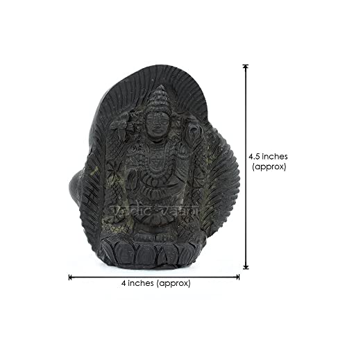 Vedic Vaani Tirupati Balaji in Natural Shaligram Stone from Gandaki River Nepal (1 Pcs)