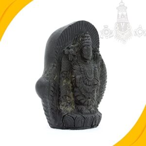 Vedic Vaani Tirupati Balaji in Natural Shaligram Stone from Gandaki River Nepal (1 Pcs)