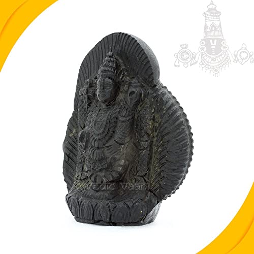 Vedic Vaani Tirupati Balaji in Natural Shaligram Stone from Gandaki River Nepal (1 Pcs)