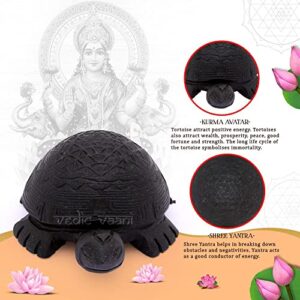 Vedic Vaani Shree Yantra On Tortoise Vastu Shaligram for Wealth and Protection (1 Pcs)