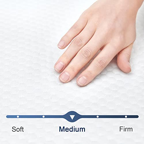 Molblly Folding Mattress, 3 inch Tri Folding Memeory Foam Mattress, Portable Trifold Mattress Topper with Washable Cover, Non-Slip Bottom Camping Mattress Guest Bed, Small Twin - 75"x25"x3"