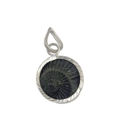 numeroastro Shaligram Pendant | Chakra Pendant | Natural & Original Shaligram Pendant For Men & Women (1 Pc), Standard, Stone, No Gemstone