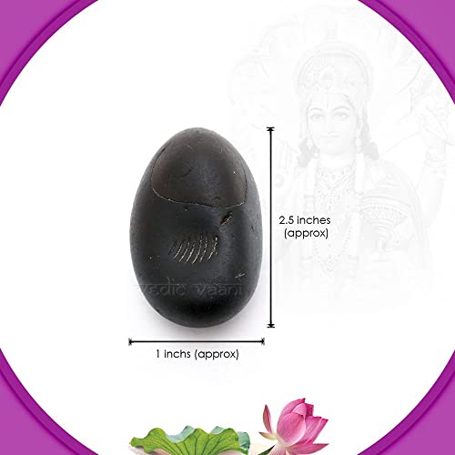 Vedic Vaani Sacred Vishnu Adwaitya Charan Paduka Shaligram for Puja (Pack of 5)