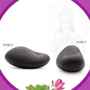 Vedic Vaani Sacred Vishnu Adwaitya Charan Paduka Shaligram for Puja (Pack of 5)