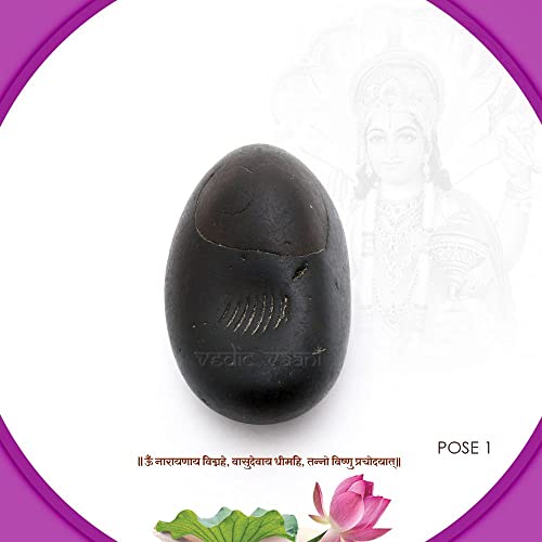 Vedic Vaani Sacred Vishnu Adwaitya Charan Paduka Shaligram for Puja (Pack of 5)