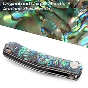 Benkey Damascus Pocket Knife with Clip Leather Sheath Sharp VG10 Core Folding Knife, EDC with Liner Lock Unique Abalone Seashells Handle for Outdoor Survival Camping Collection