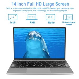 Ruzava/Aocwei Laptop Win 10 14" 6GB DDR4 64GB Storage Intel N4020 (Up to 2.8Ghz) 2-Core 1920x1080 FHD Dual WiFi BT 4.2 Mini HDMI Support 512GB TF 1TB SSD Expand for Work Study Entertainment-Gray