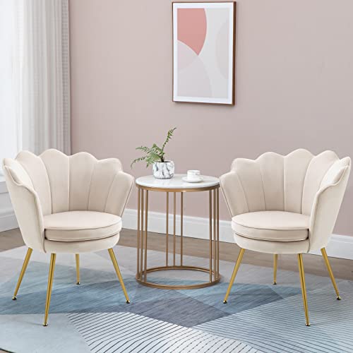 WQSLHX White Velvet Accent Chair Set of 2 for Living Room, Armchair Modern Accent Chair Vanity Chair for Bedroom, Comfy Arm Chair with Lumbar Pillow and Golden Metal Legs