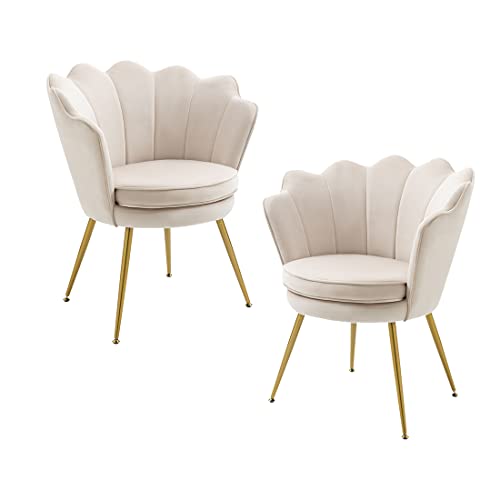 WQSLHX White Velvet Accent Chair Set of 2 for Living Room, Armchair Modern Accent Chair Vanity Chair for Bedroom, Comfy Arm Chair with Lumbar Pillow and Golden Metal Legs