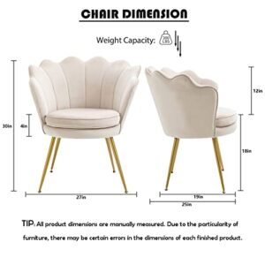 WQSLHX White Velvet Accent Chair Set of 2 for Living Room, Armchair Modern Accent Chair Vanity Chair for Bedroom, Comfy Arm Chair with Lumbar Pillow and Golden Metal Legs