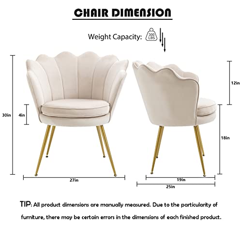 WQSLHX White Velvet Accent Chair Set of 2 for Living Room, Armchair Modern Accent Chair Vanity Chair for Bedroom, Comfy Arm Chair with Lumbar Pillow and Golden Metal Legs