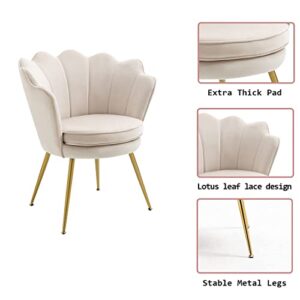 WQSLHX White Velvet Accent Chair Set of 2 for Living Room, Armchair Modern Accent Chair Vanity Chair for Bedroom, Comfy Arm Chair with Lumbar Pillow and Golden Metal Legs