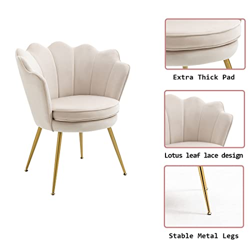 WQSLHX White Velvet Accent Chair Set of 2 for Living Room, Armchair Modern Accent Chair Vanity Chair for Bedroom, Comfy Arm Chair with Lumbar Pillow and Golden Metal Legs