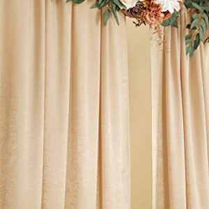 Cytdkve 2 Panels 4.8 Feet x 10 Feet Beige Velvet-Like Wedding Backdrop Curtain Drapes, Silky Soft Window Curtains Panels for Wedding Ceremony Birthday Party Decorations