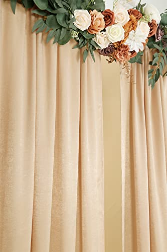 Cytdkve 2 Panels 4.8 Feet x 10 Feet Beige Velvet-Like Wedding Backdrop Curtain Drapes, Silky Soft Window Curtains Panels for Wedding Ceremony Birthday Party Decorations