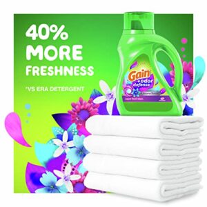 Gain + Odor Defense Laundry Detergent Liquid Soap, 2-Pack, Super Fresh Blast Scent, 65 Fl Oz Each