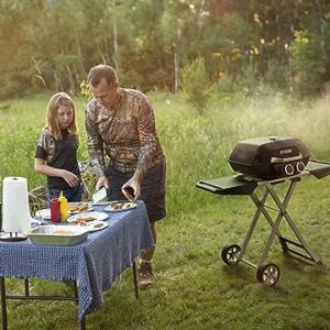 Pit Boss 2B Portable Gas Grill with Collapsible Cart, Black (10919)