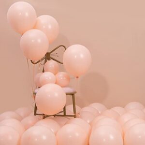 MOMOHOO Pastel Orange Balloons Arch- 120Pcs 18/12/5 Inch Light Orange Balloons Different Sizes, Macaron Balloons Peach Blush Balloons Garland Kit, Easter Balloons Birthday/Baby Shower/Fall Balloons