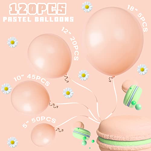 MOMOHOO Pastel Orange Balloons Arch- 120Pcs 18/12/5 Inch Light Orange Balloons Different Sizes, Macaron Balloons Peach Blush Balloons Garland Kit, Easter Balloons Birthday/Baby Shower/Fall Balloons