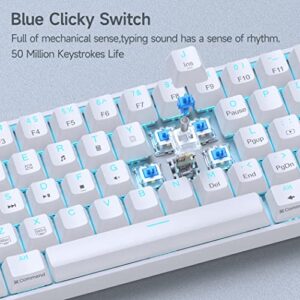 DIERYA DK61SE 60% Mechanical Gaming Keyboard, 61 Keys Anti-Ghosting, LED Backlight, Detachable USB-C, Ultra-Compact Mini Wired Keyboard with Blue Clicky Switch for Windows Laptop PC Gamer Typist