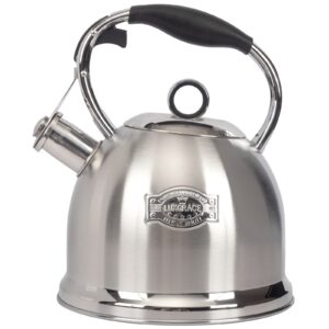 tea kettle for stovetop, food grade stainless steel water kettle, tea pot for home & kitchen, 3.0 qt