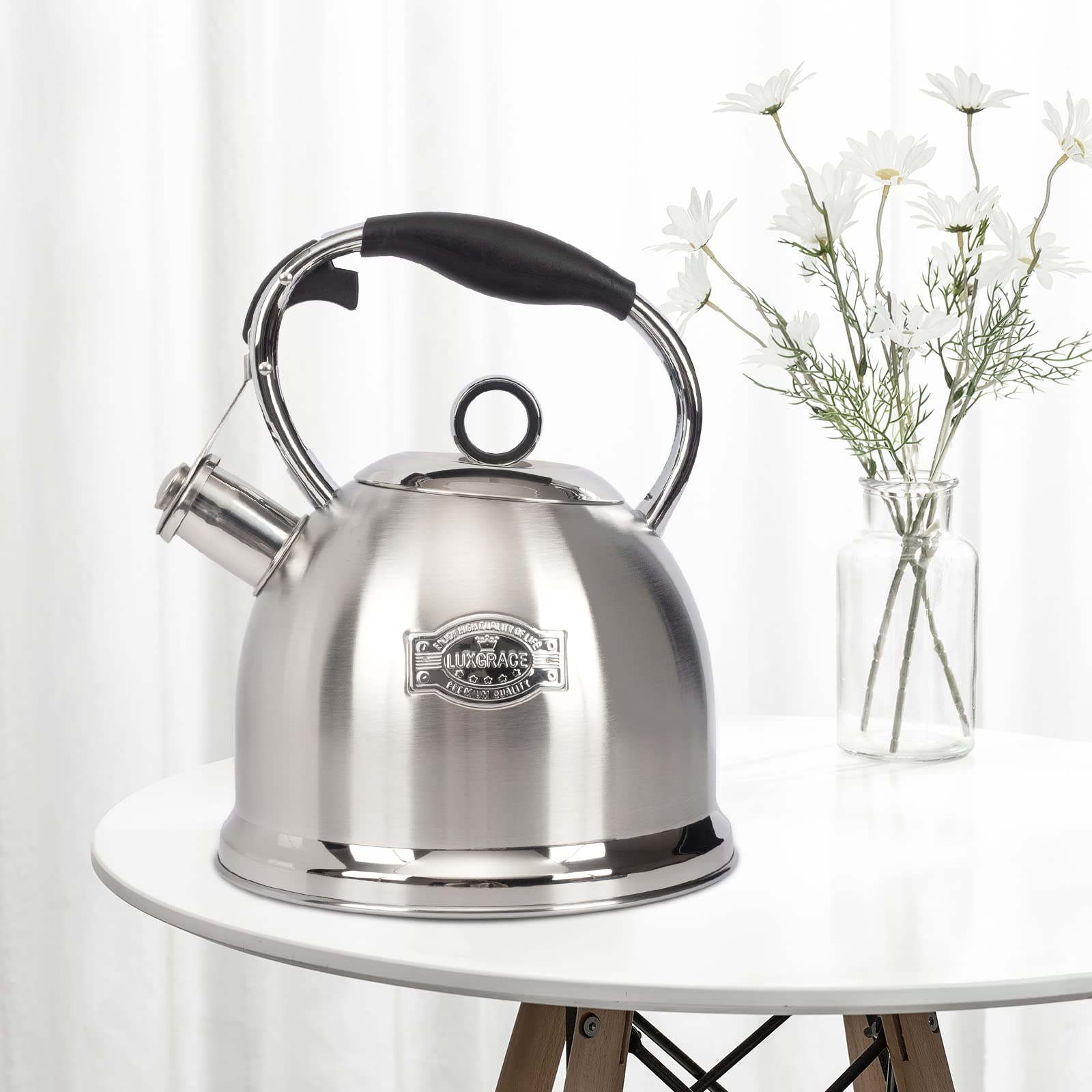 Tea Kettle for Stovetop, Food Grade Stainless Steel Water Kettle, Tea Pot for Home & Kitchen, 3.0 Qt