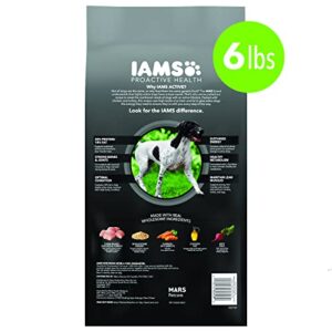 Iams Proactive Health Adult Active Dry Dog Food with Chicken and Turkey, 6 lb. Bag