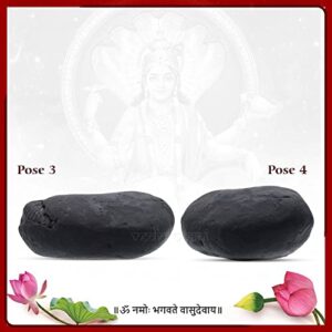 Vedic Vaani Lord Rishikesh Rajanikant Chandrama Netra Shaligram Shila for Peace and Prosperity (Pack of 4)