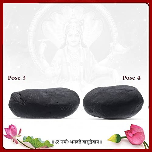 Vedic Vaani Lord Rishikesh Rajanikant Chandrama Netra Shaligram Shila for Peace and Prosperity (Pack of 4)