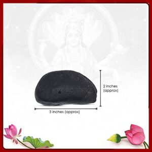 Vedic Vaani Lord Rishikesh Rajanikant Chandrama Netra Shaligram Shila for Peace and Prosperity (Pack of 4)