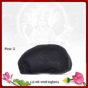 Vedic Vaani Lord Rishikesh Rajanikant Chandrama Netra Shaligram Shila for Peace and Prosperity (Pack of 4)