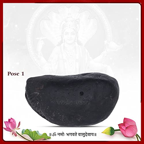 Vedic Vaani Lord Rishikesh Rajanikant Chandrama Netra Shaligram Shila for Peace and Prosperity (Pack of 4)