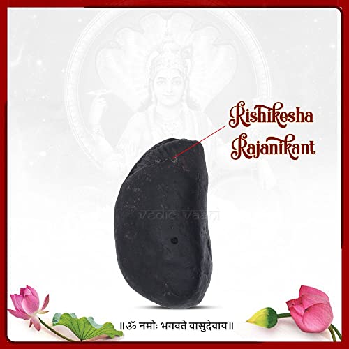 Vedic Vaani Lord Rishikesh Rajanikant Chandrama Netra Shaligram Shila for Peace and Prosperity (Pack of 4)