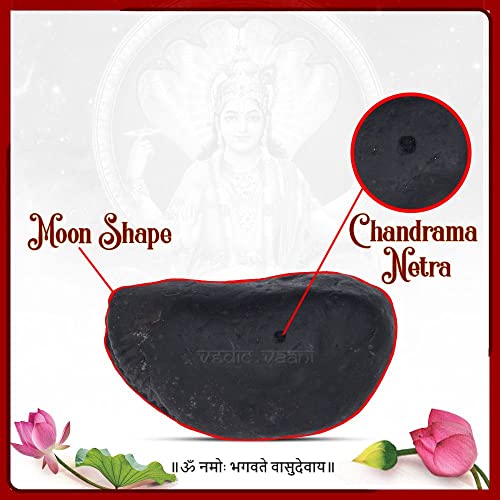 Vedic Vaani Lord Rishikesh Rajanikant Chandrama Netra Shaligram Shila for Peace and Prosperity (Pack of 4)