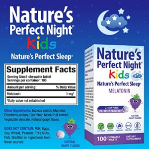 Nature's Perfect Night Kids | Kids Melatonin 1mg | 100 Chewable Tablets | Natural Grape Flavor | Sugar Free | Vegan | Gluten Free | Drug Free | Value Size