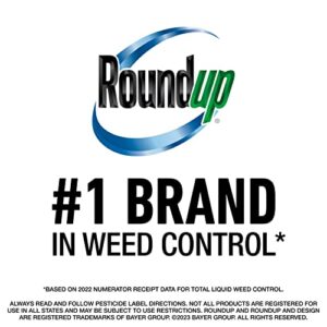 Roundup for Lawns₄ Refill (Southern) - All-in-One Weed Killer for Lawns, 1 gal.