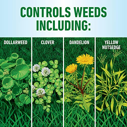 Roundup for Lawns₄ Refill (Southern) - All-in-One Weed Killer for Lawns, 1 gal.