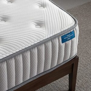 Lechepussleep King Size Mattress, Lechepus 10 Inch Medium Firm Hybrid Mattress, Pocket Innersprings for Motion Isolation, Breathable Tight Top Mattress in Box, CertiPur-US (LT-1901-1150)