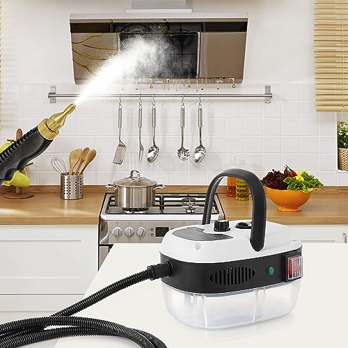 WICHEMI Steam Cleaner Steamer for Cleaning, 2500W High Pressure Steam Machine High Temperature Handheld Steamer for Car Detailing Portable Steam Cleaning Machine for Home Use Auto Detailing Kitchen