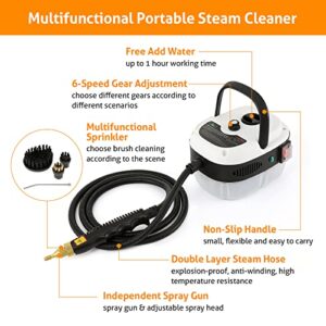 WICHEMI Steam Cleaner Steamer for Cleaning, 2500W High Pressure Steam Machine High Temperature Handheld Steamer for Car Detailing Portable Steam Cleaning Machine for Home Use Auto Detailing Kitchen