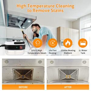 WICHEMI Steam Cleaner Steamer for Cleaning, 2500W High Pressure Steam Machine High Temperature Handheld Steamer for Car Detailing Portable Steam Cleaning Machine for Home Use Auto Detailing Kitchen