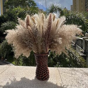 100Pcs Pampas Grass Boho Home Decor 17 inch Natural Dried Flowers-Pampas Grass Contains Bunny Tails White Pampas Brown Pampas.Boho Decor for Farmhouse Wedding Boho Wall Bathroom Office Kitchen…