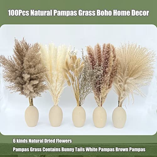 100Pcs Pampas Grass Boho Home Decor 17 inch Natural Dried Flowers-Pampas Grass Contains Bunny Tails White Pampas Brown Pampas.Boho Decor for Farmhouse Wedding Boho Wall Bathroom Office Kitchen…