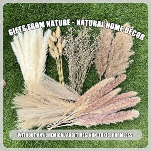 100Pcs Pampas Grass Boho Home Decor 17 inch Natural Dried Flowers-Pampas Grass Contains Bunny Tails White Pampas Brown Pampas.Boho Decor for Farmhouse Wedding Boho Wall Bathroom Office Kitchen…