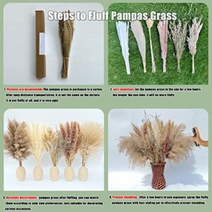 100Pcs Pampas Grass Boho Home Decor 17 inch Natural Dried Flowers-Pampas Grass Contains Bunny Tails White Pampas Brown Pampas.Boho Decor for Farmhouse Wedding Boho Wall Bathroom Office Kitchen…