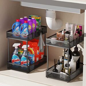 Bathroom ,Kitchen Sink Cabinet Organizer, 2 Tier Under Sink , Under Cabinet Organizers and Storage with 4 Hooks,Non-slip Feet, Metal